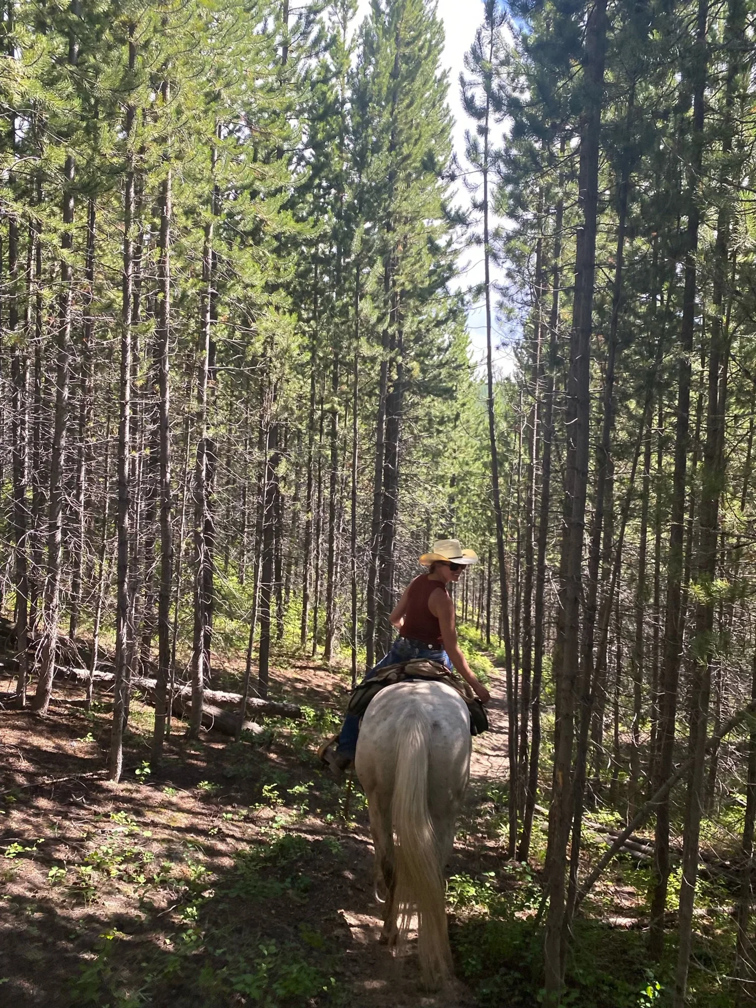 Trail Rides — Wilderness Trails Outfitters