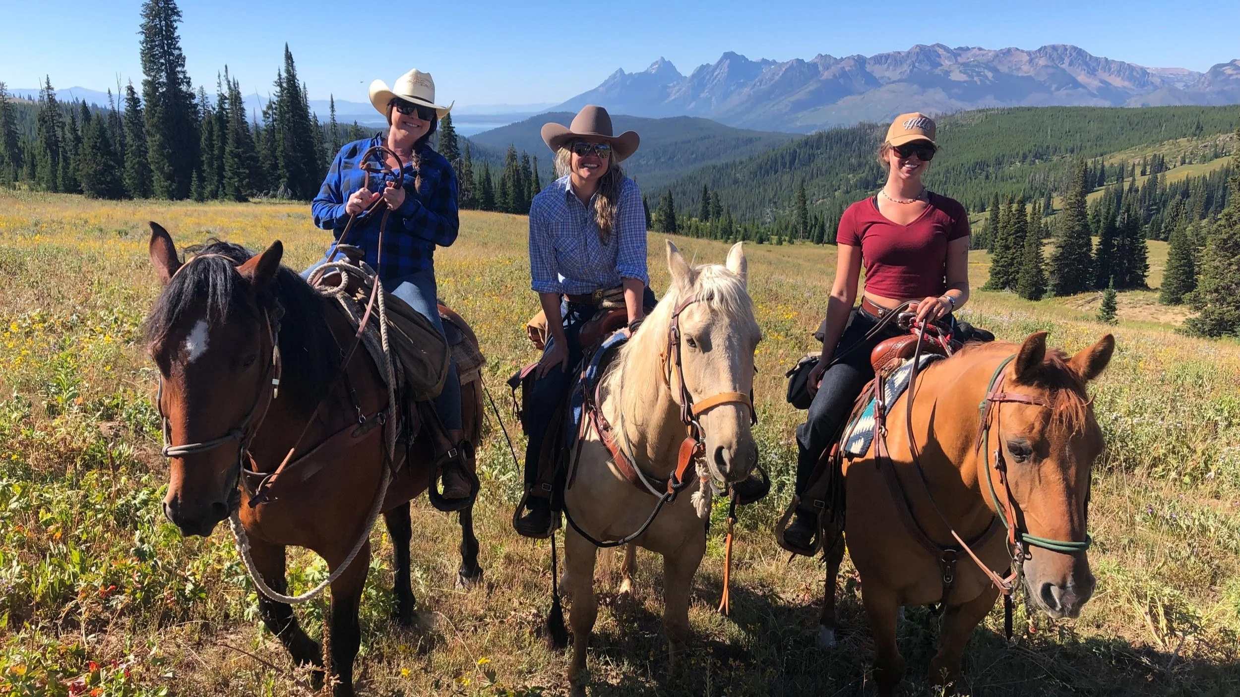 Backcountry Horse Packing Trips — Wilderness Trails Outfitters