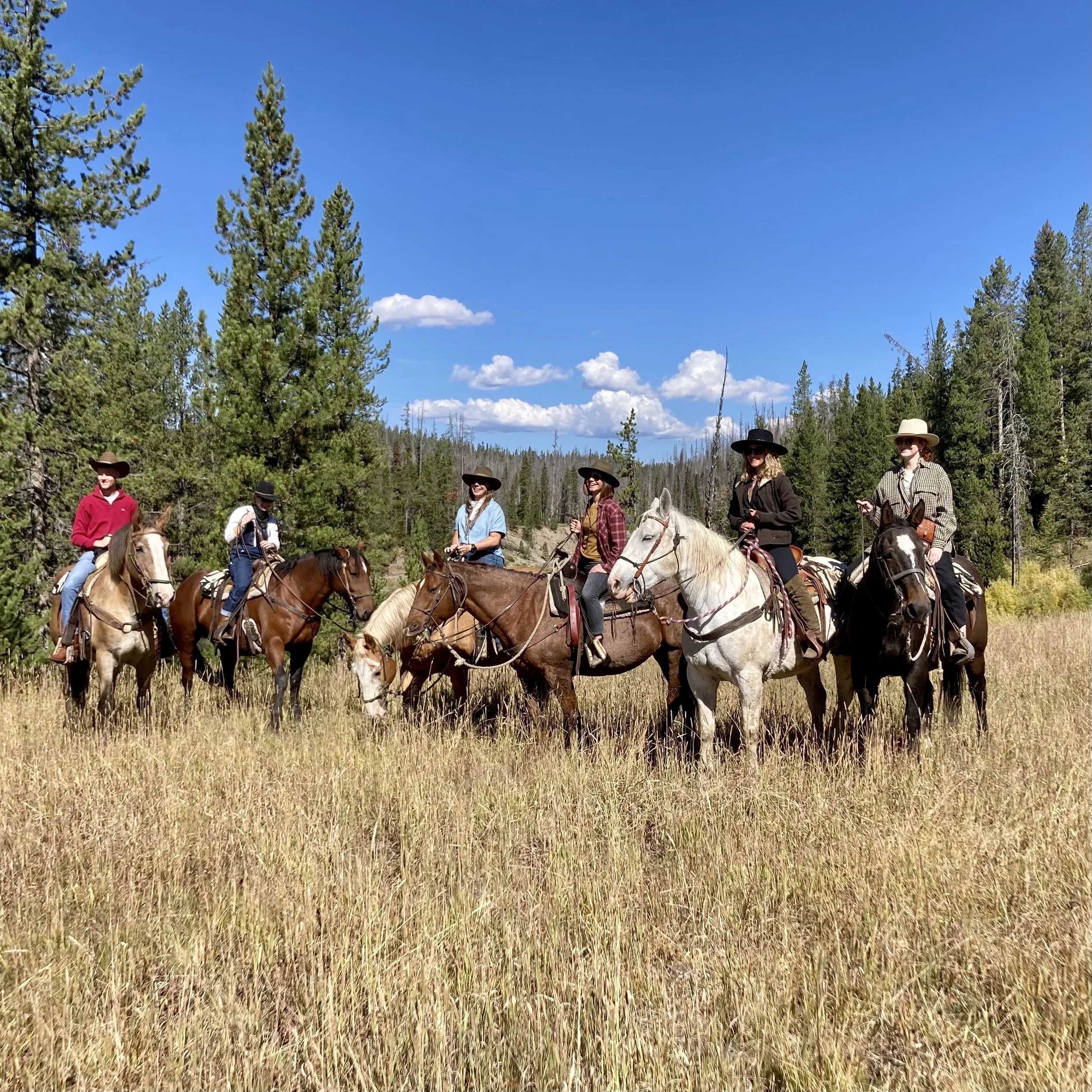 Trail Rides — Wilderness Trails Outfitters