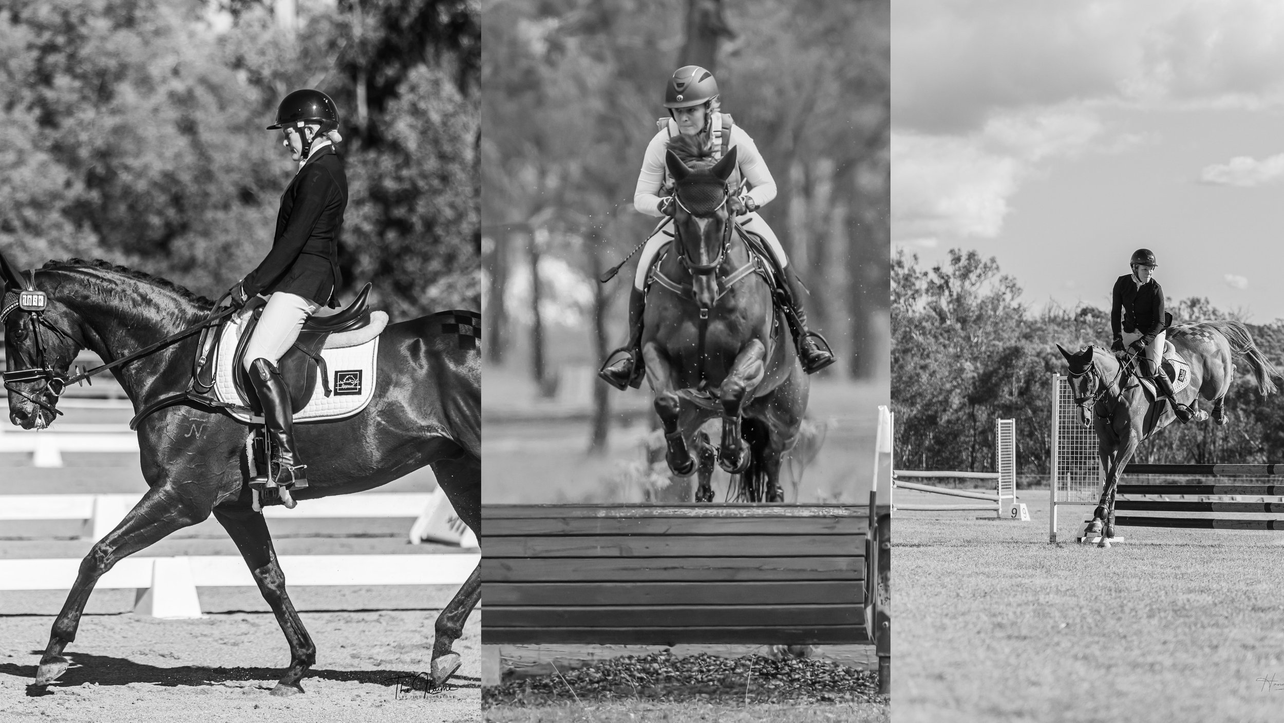 RM Equestrian Centre | riding club | Toowoomba