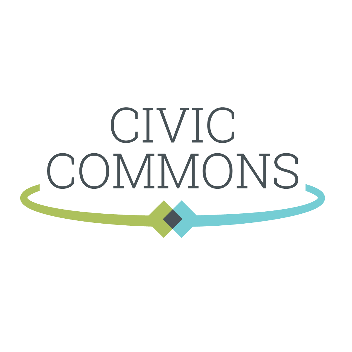 The BHI Network — Black Home Initiative