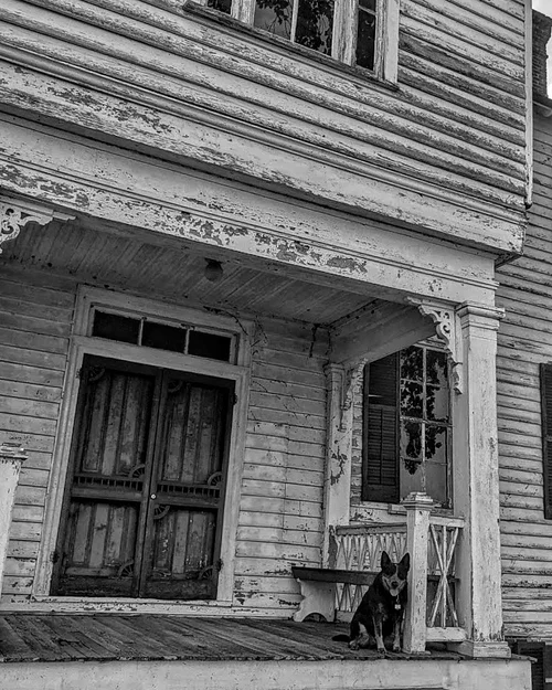 Contact Me — TJ Butler Author