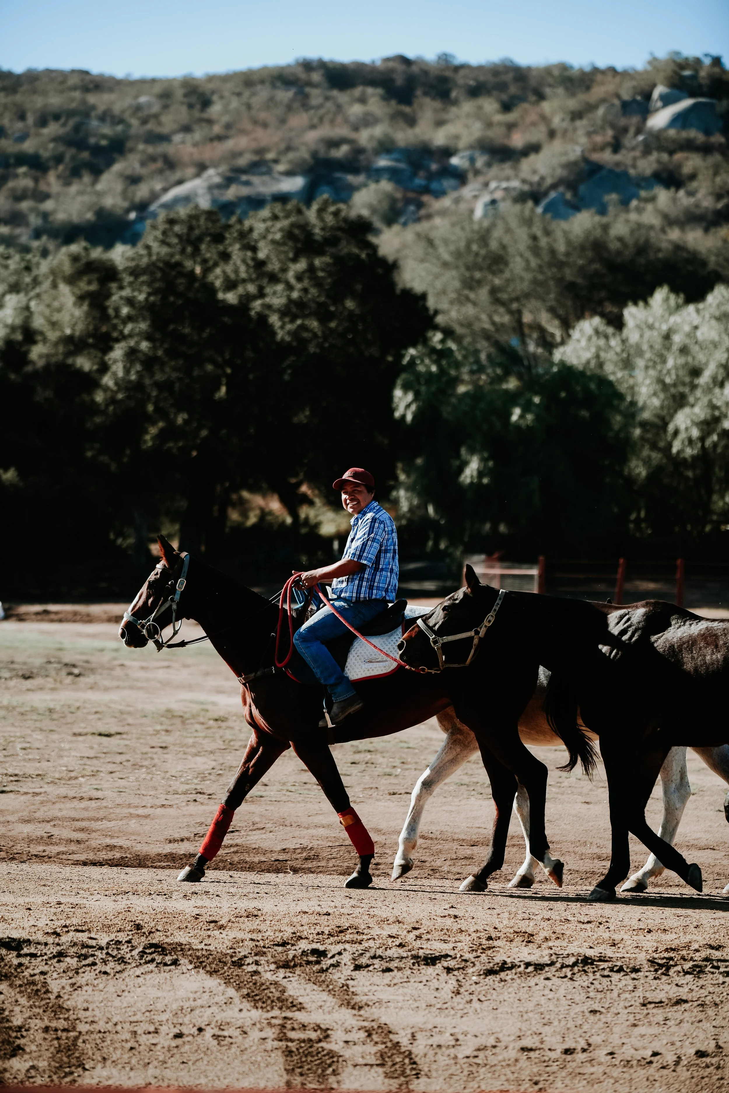 Rancho Agave Equestrian - Valley Center