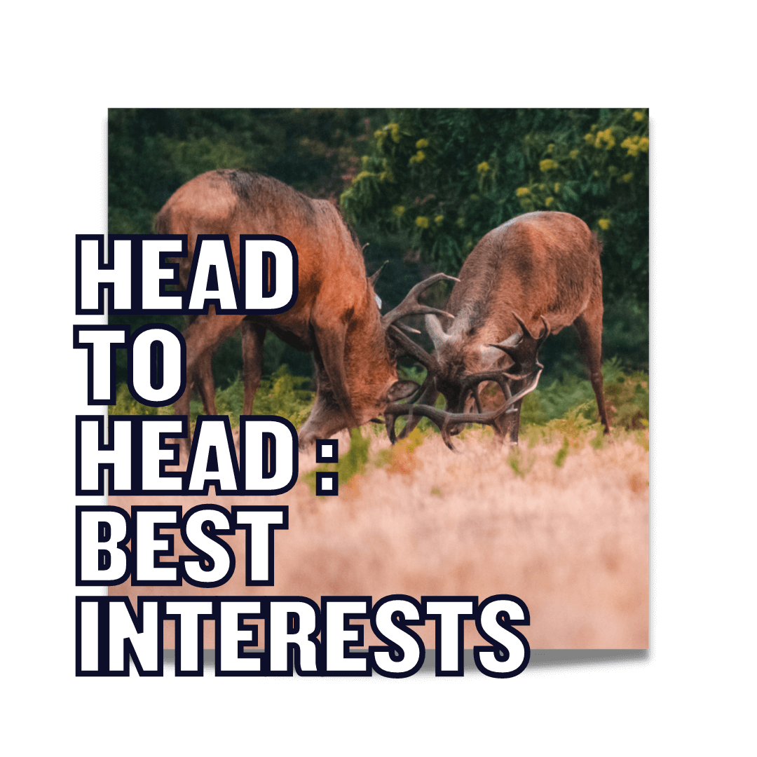 Elk Memes
