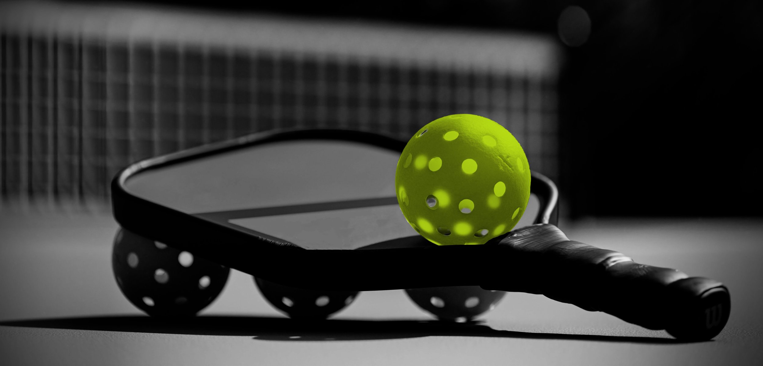 The Flying Pickle - Indoor Pickleball Facility