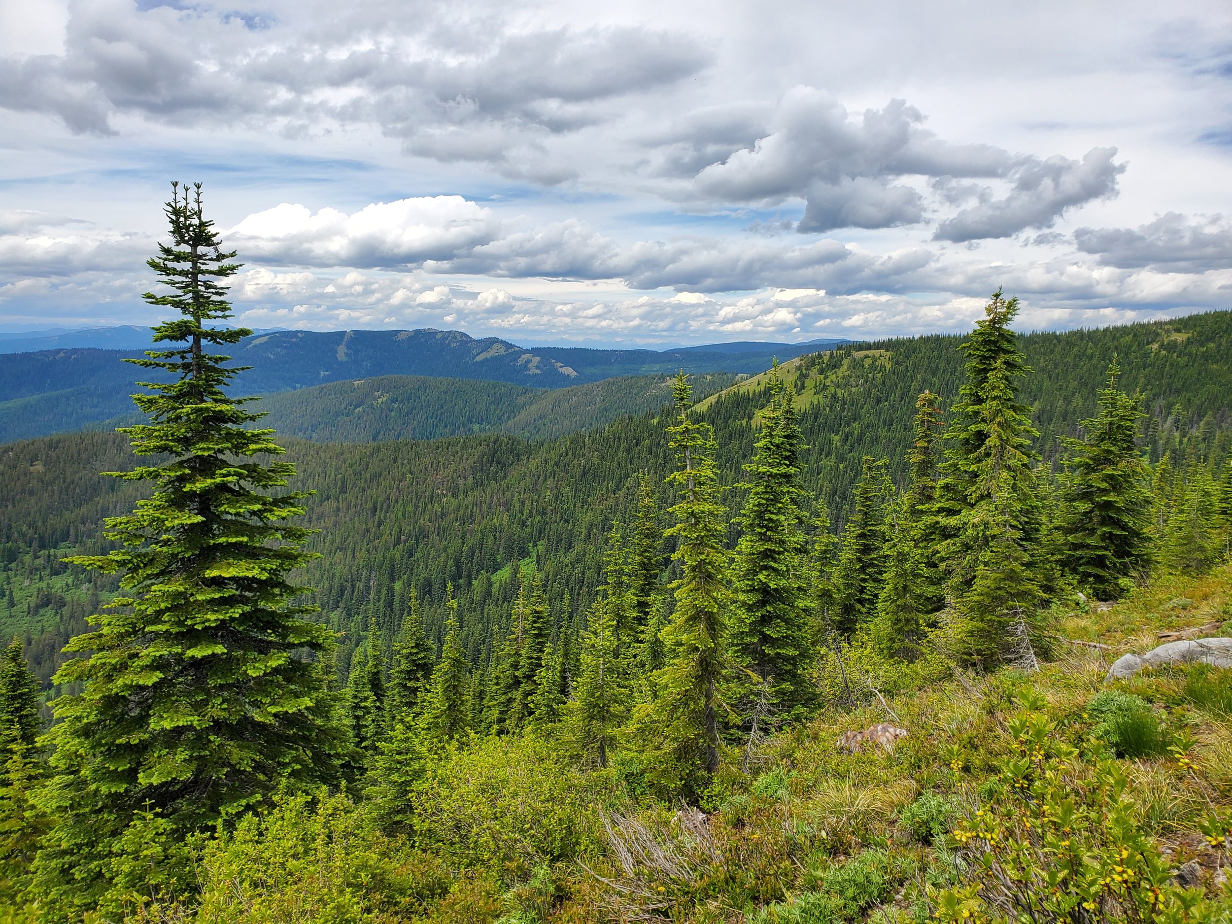 Scout Discoveries Corporation