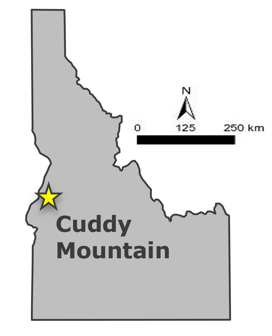 Cuddy Mountain - Porphyry Cu-Au — Scout Discoveries Corp.