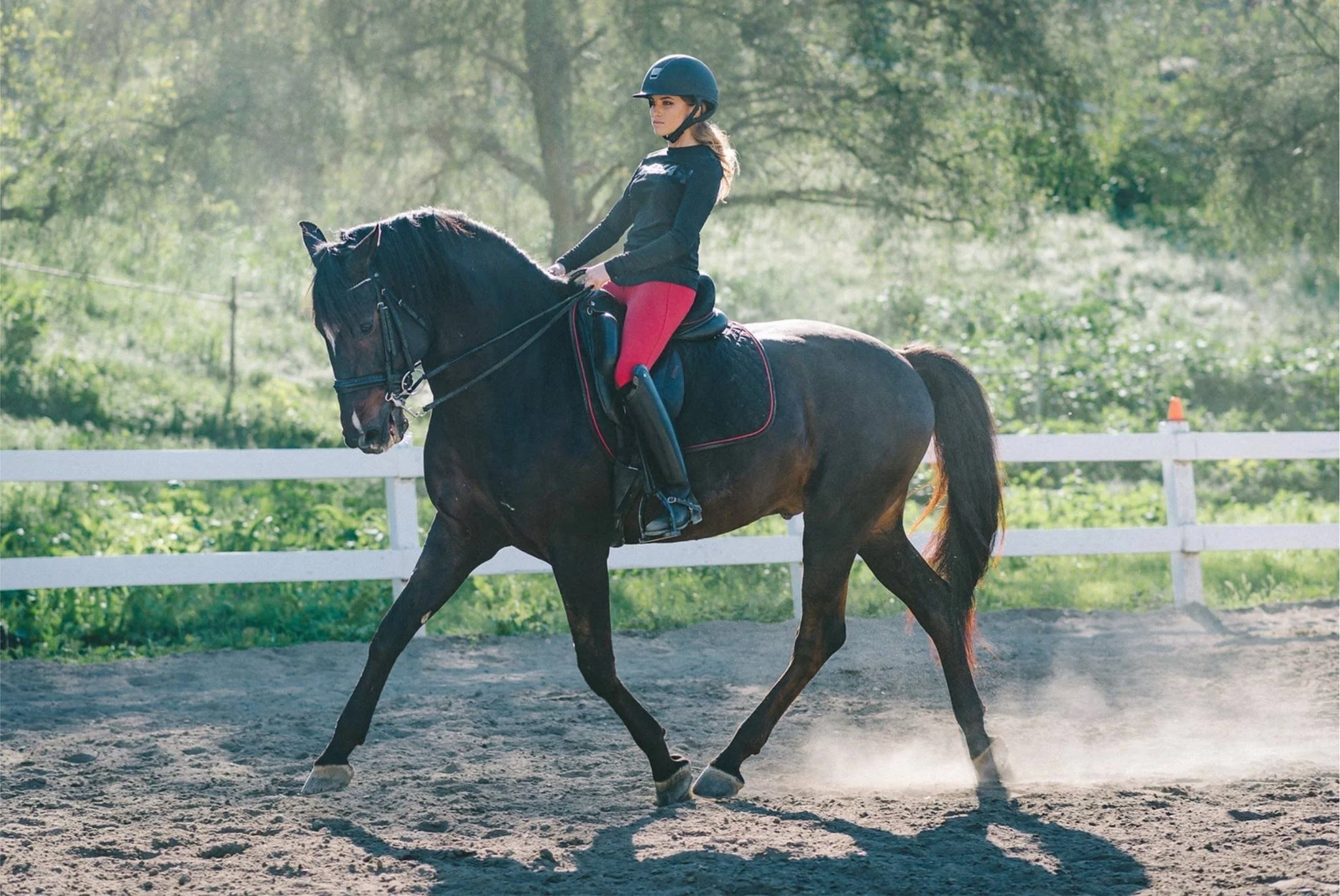 LusoWest - Professional Dressage & Working Equitation Training in Los ...