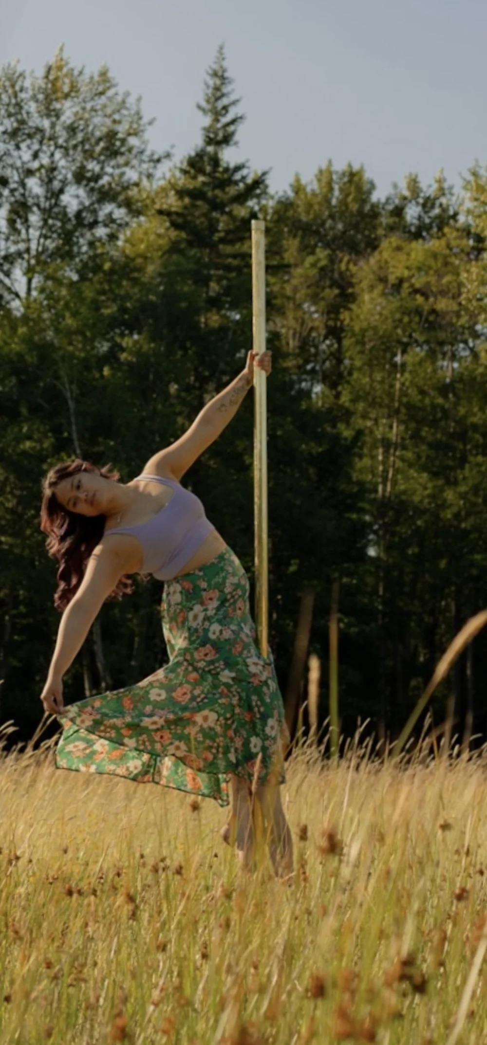 Our Team — Ascendance Pole & Aerial Arts