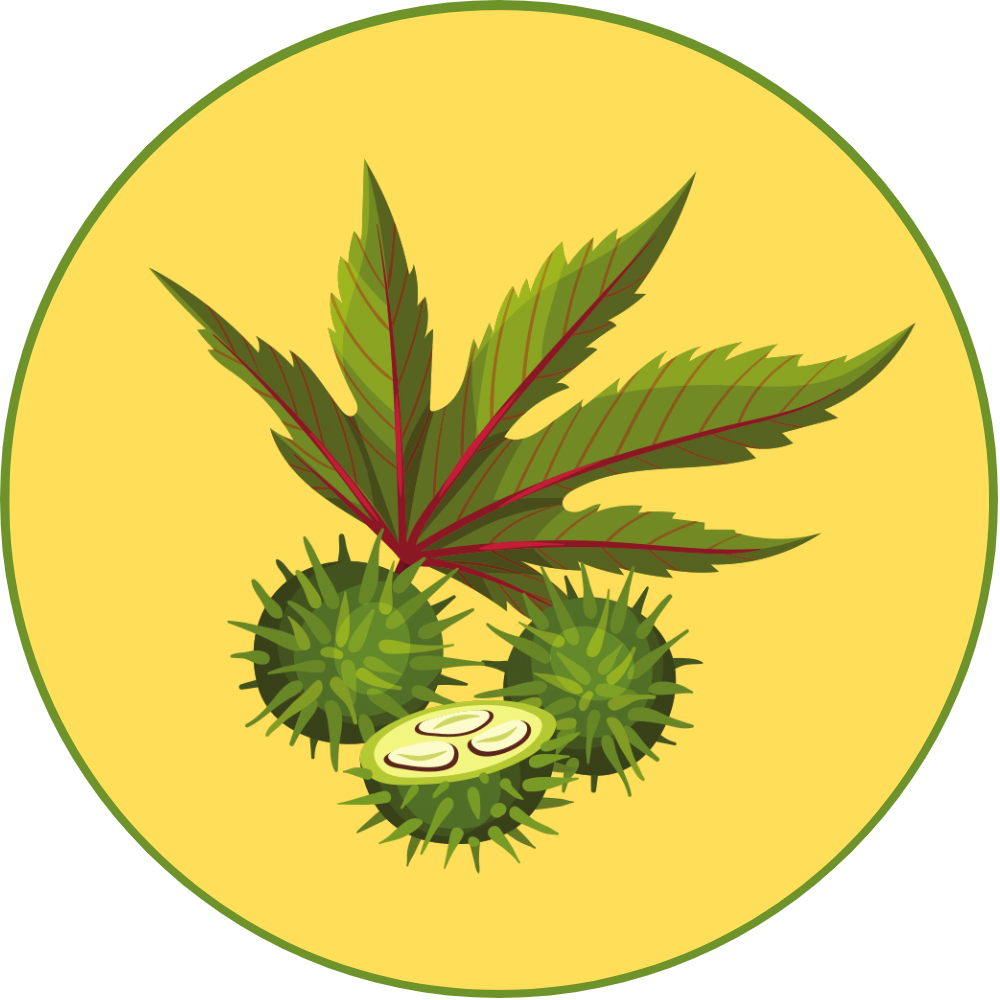 Dermasul — Natural Ingredients
