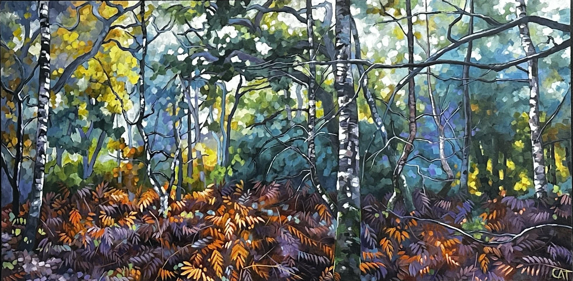 Cat Croxford — SOTA Gallery