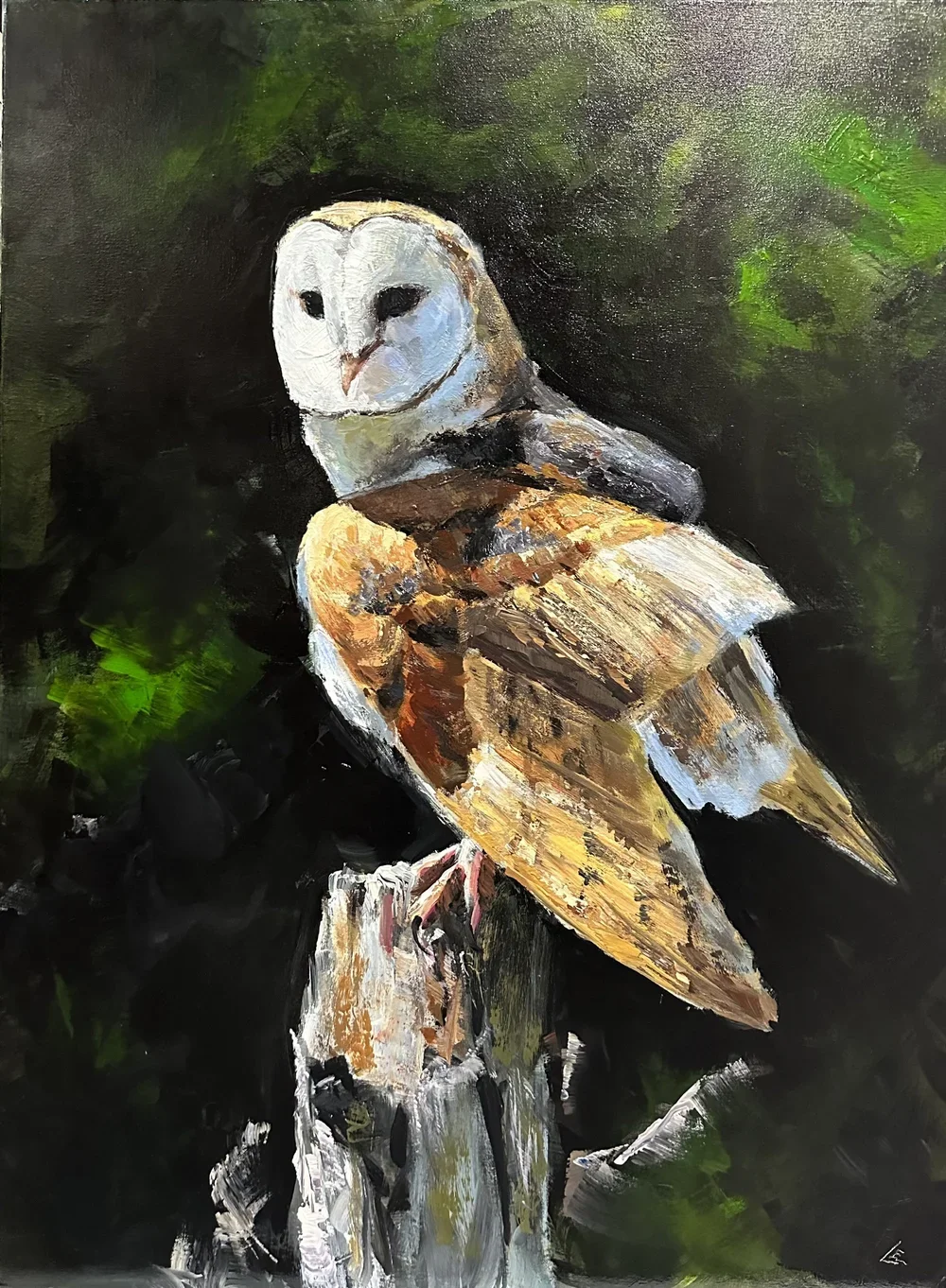 Lily Emery — SOTA Gallery
