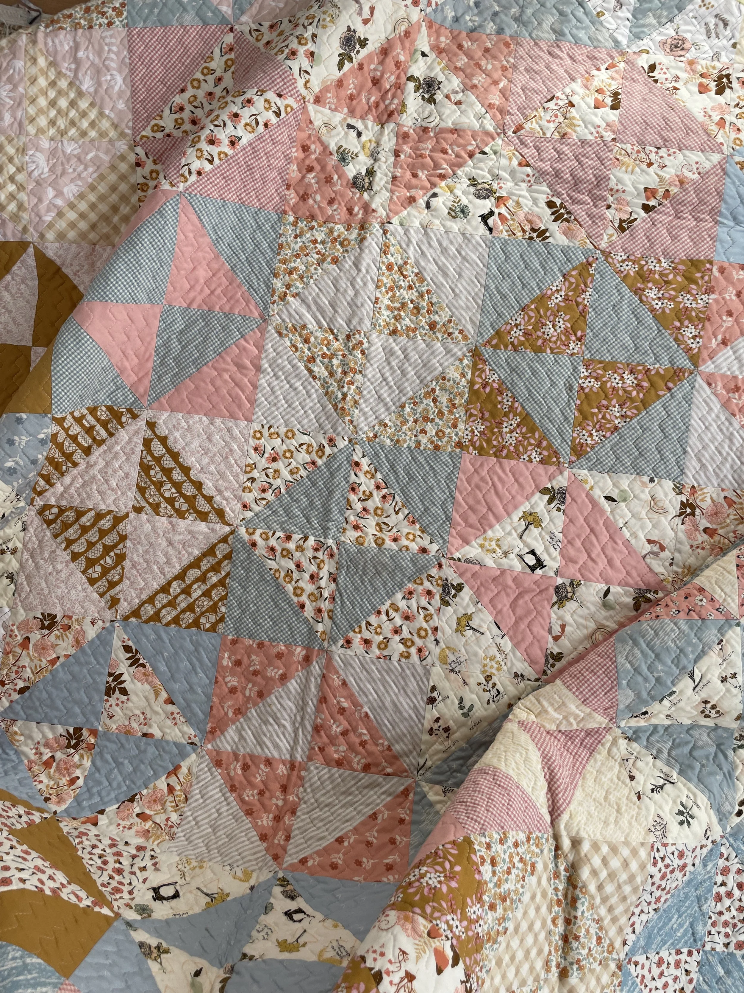 Quilting 101, Lesson 7b- Quilting (the sewing machine edition) — Joz Makes Quilts
