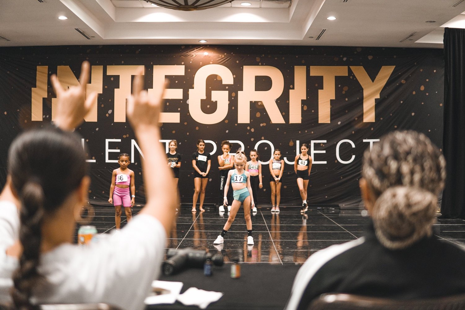 Integrity Talent Project