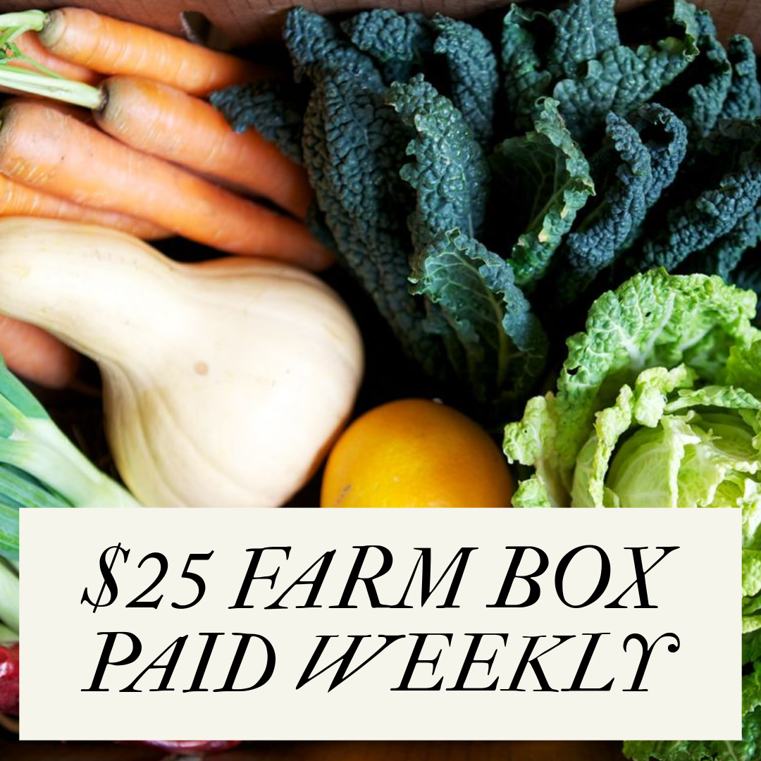 Farm Shares — Diamond Hill Farm