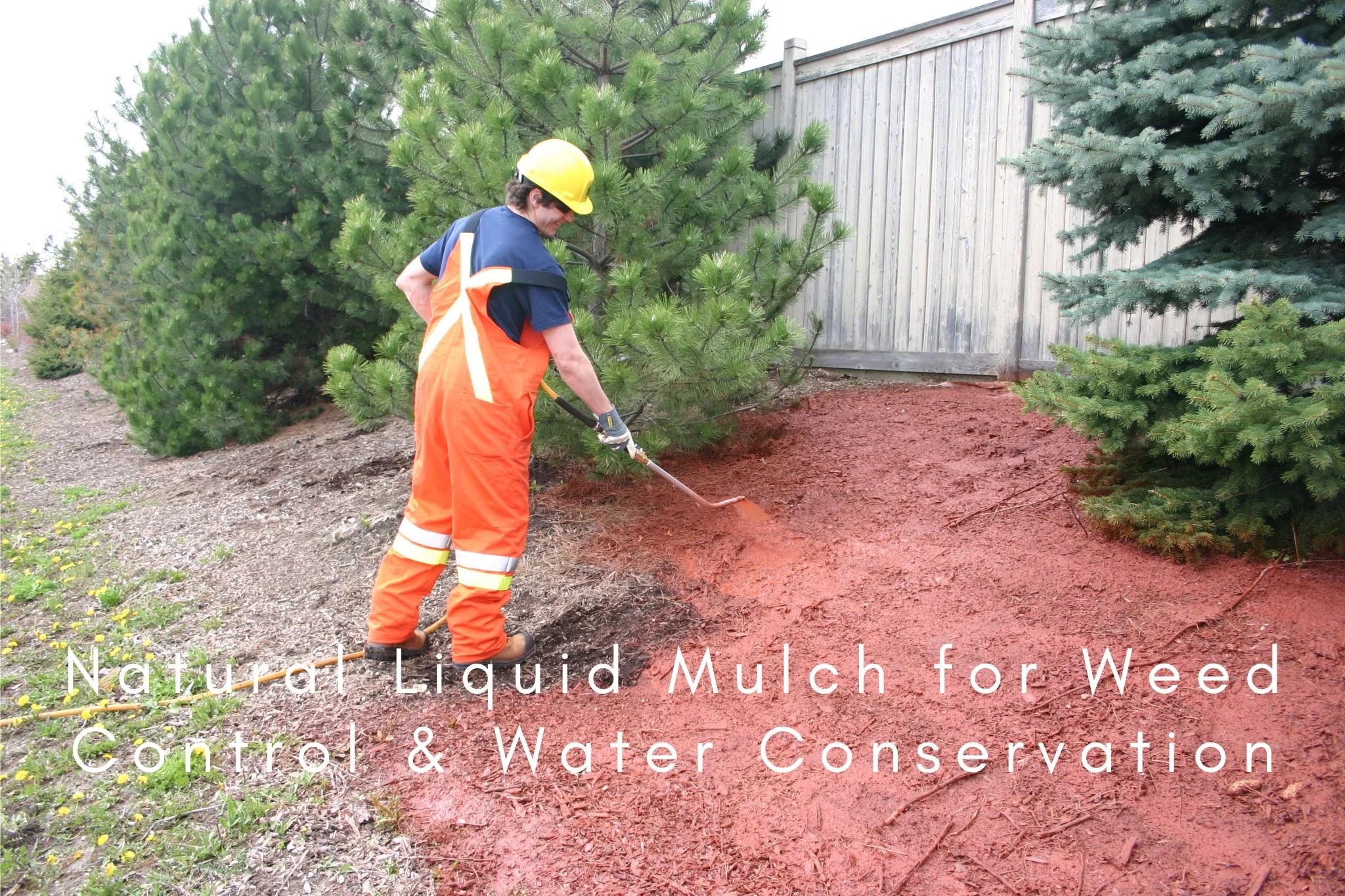 Advanced Micro Polymers Inc. - Natural Sustainable Polymers