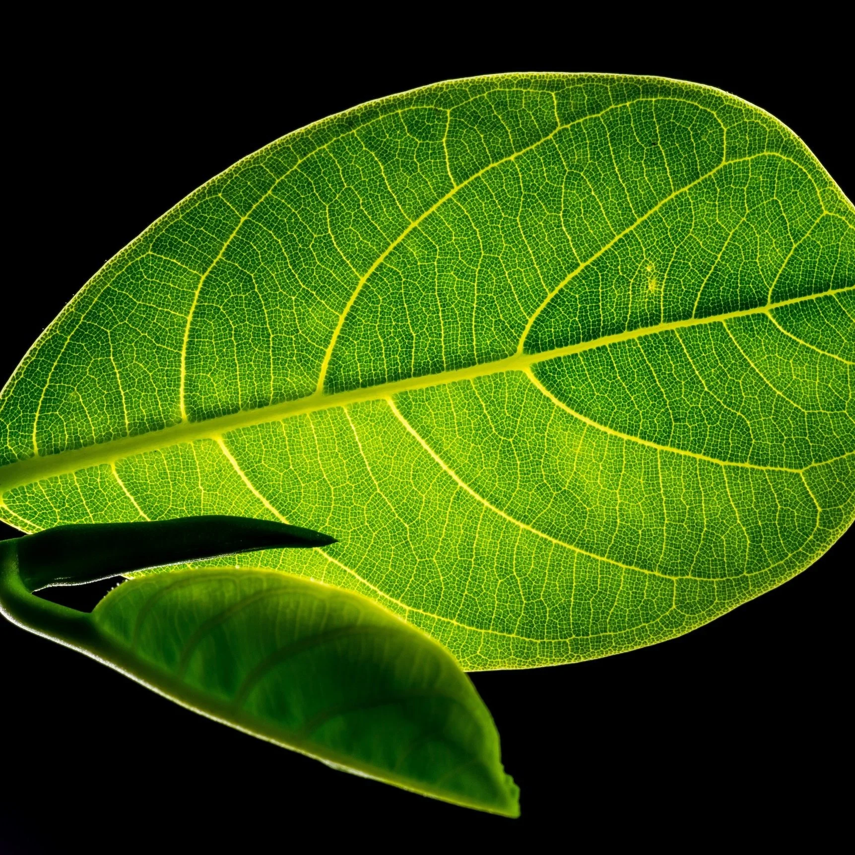 Reframe Systems | Net-Zero Modular Homes