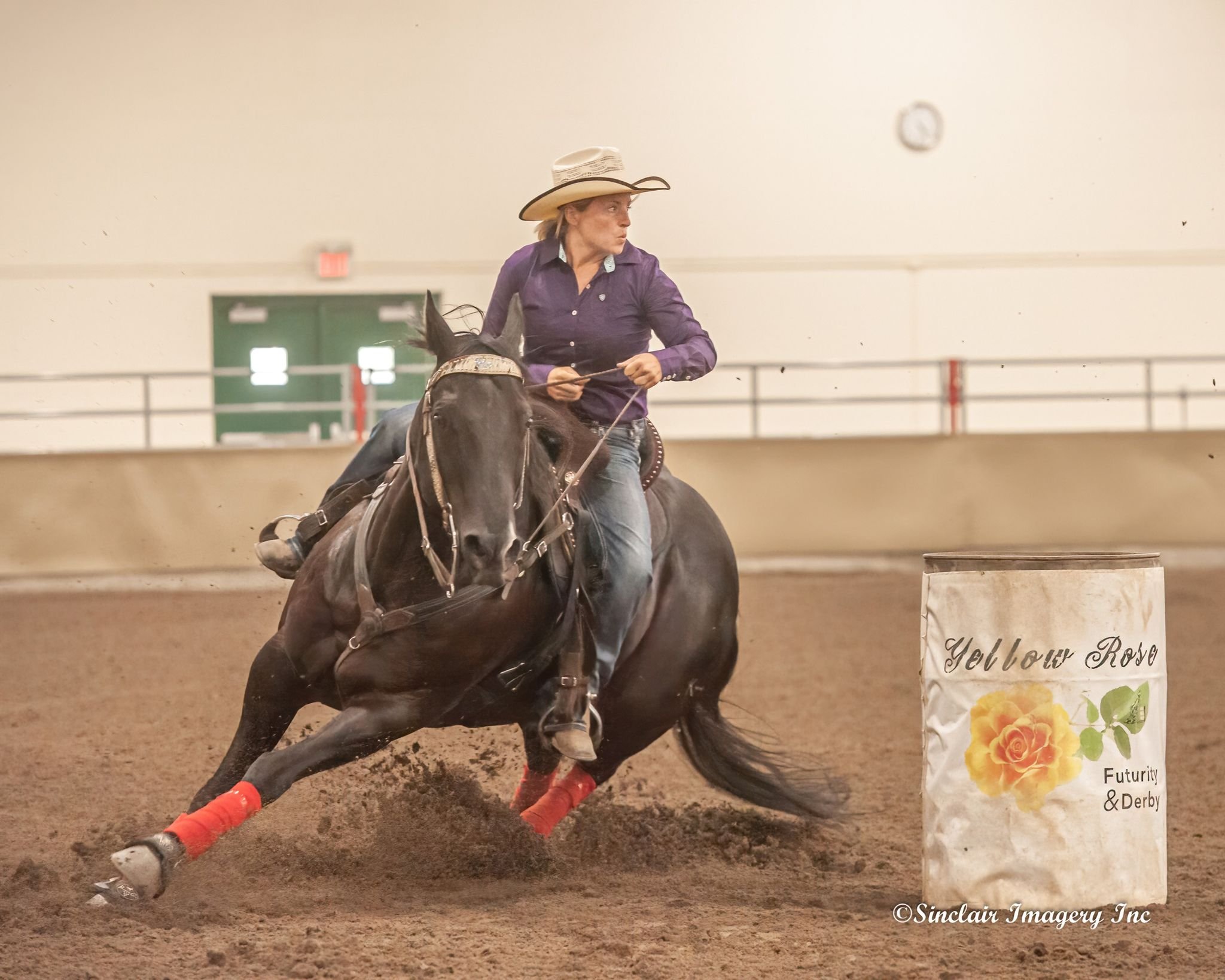 About Michaela Berlie — MB Sport Horses