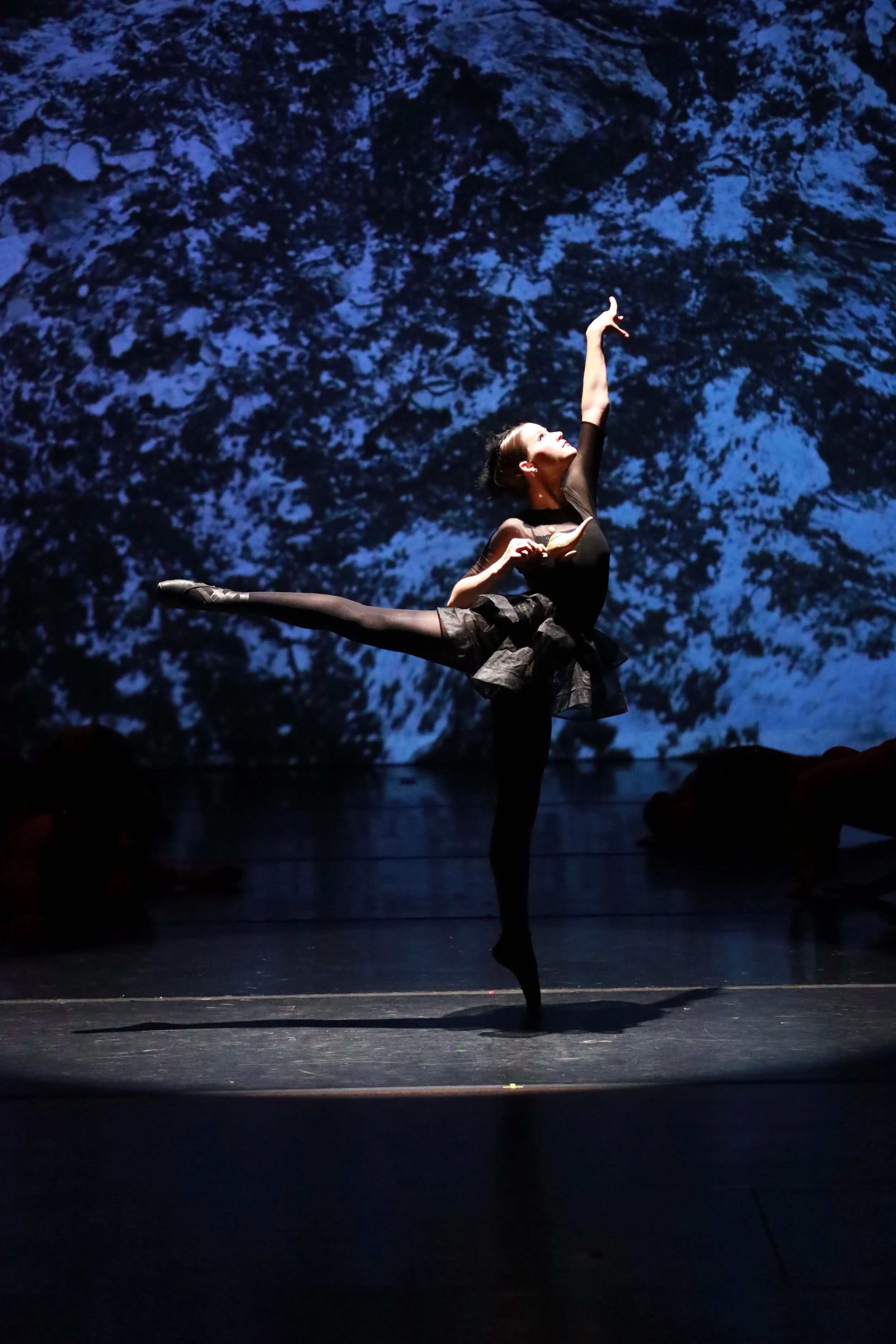All Classes — The Moving Company Dance Center