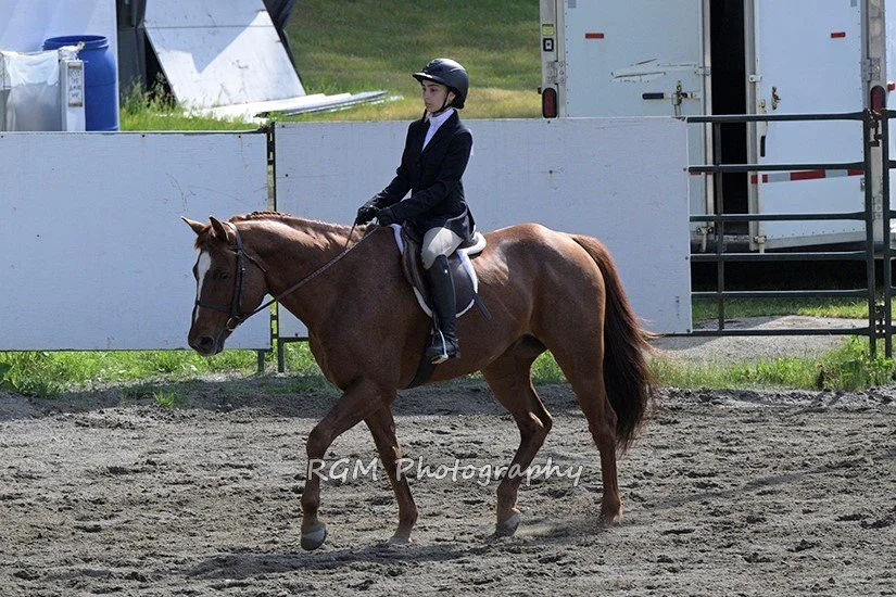 English/Western Shows — Langley Riders Society