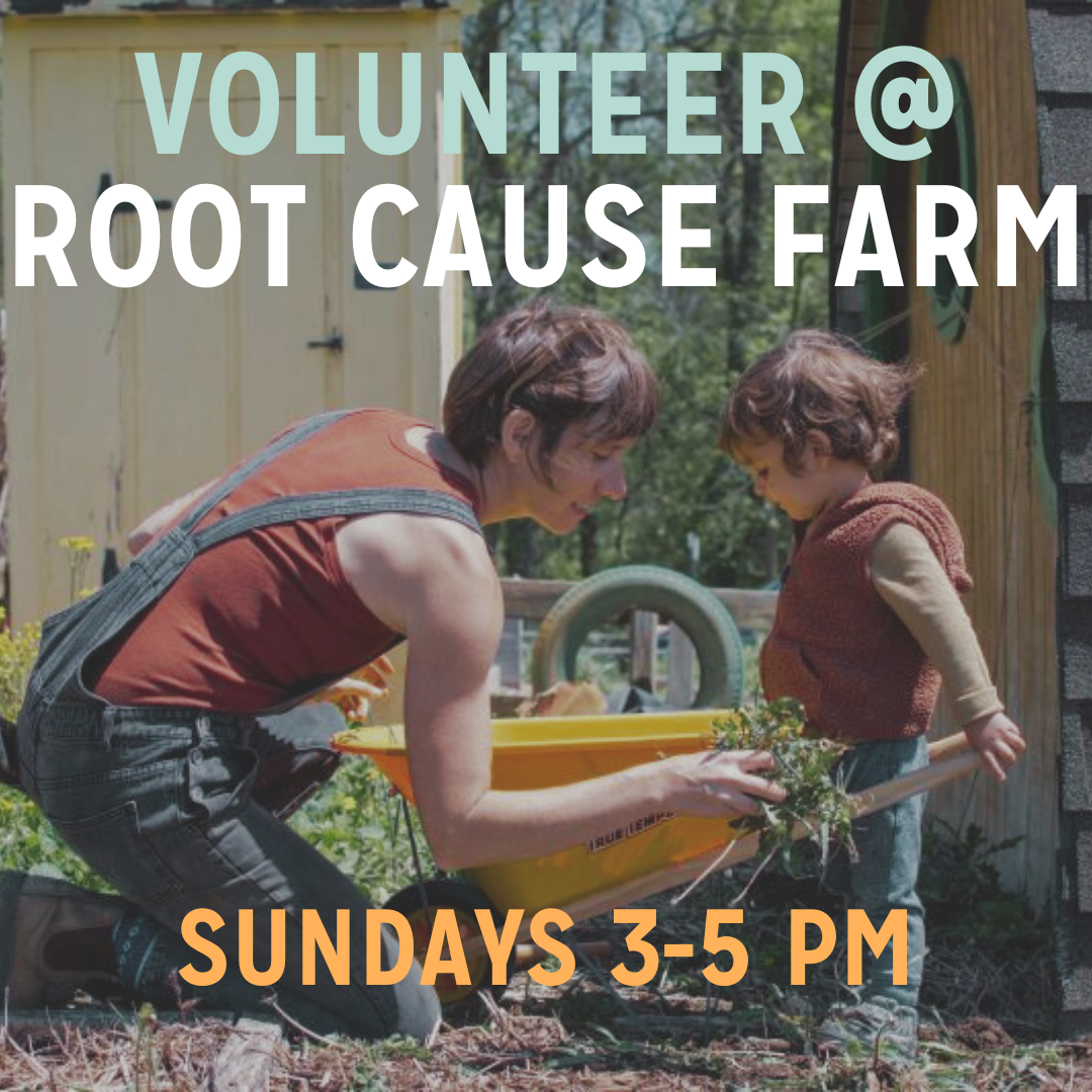 Calendar — Root Cause Farm