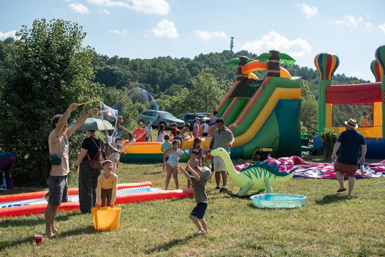 Take Root Festival — Root Cause Farm