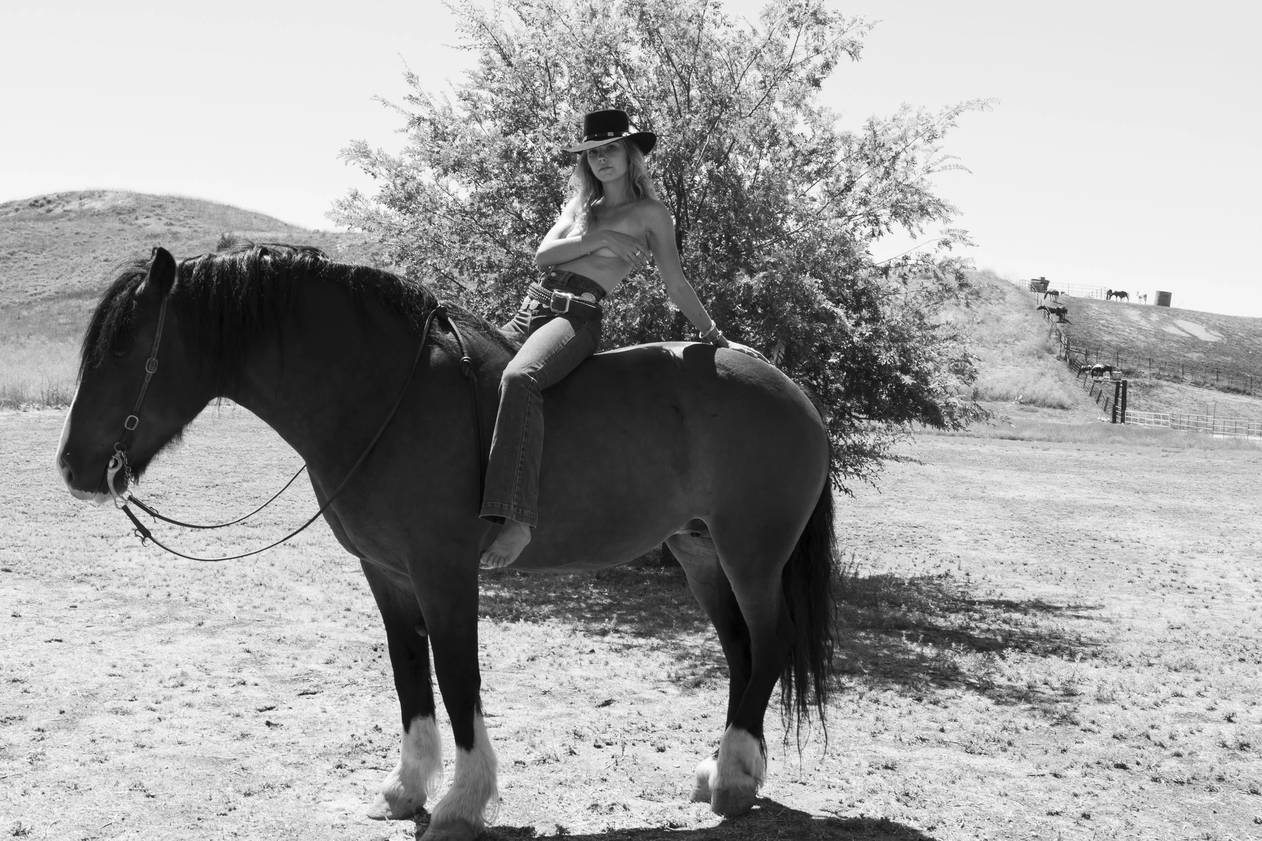 The Ascending Lark Photography