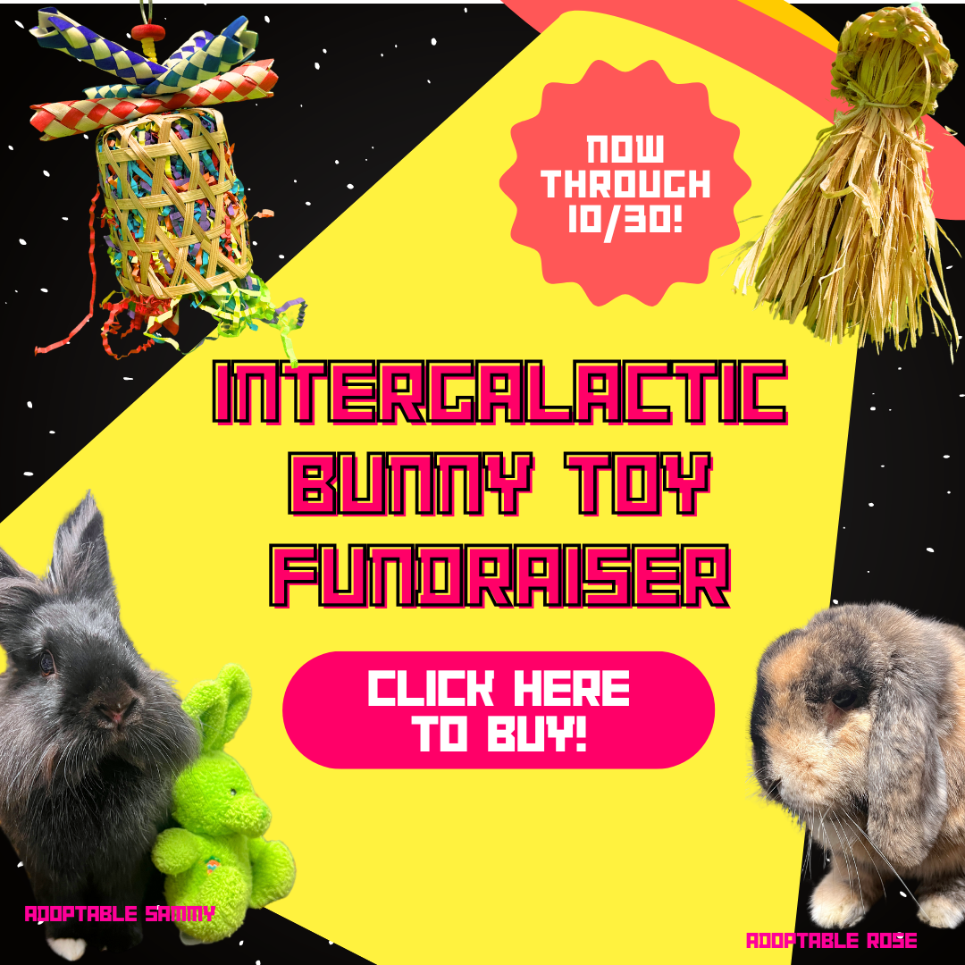 San Diego House Rabbit Society