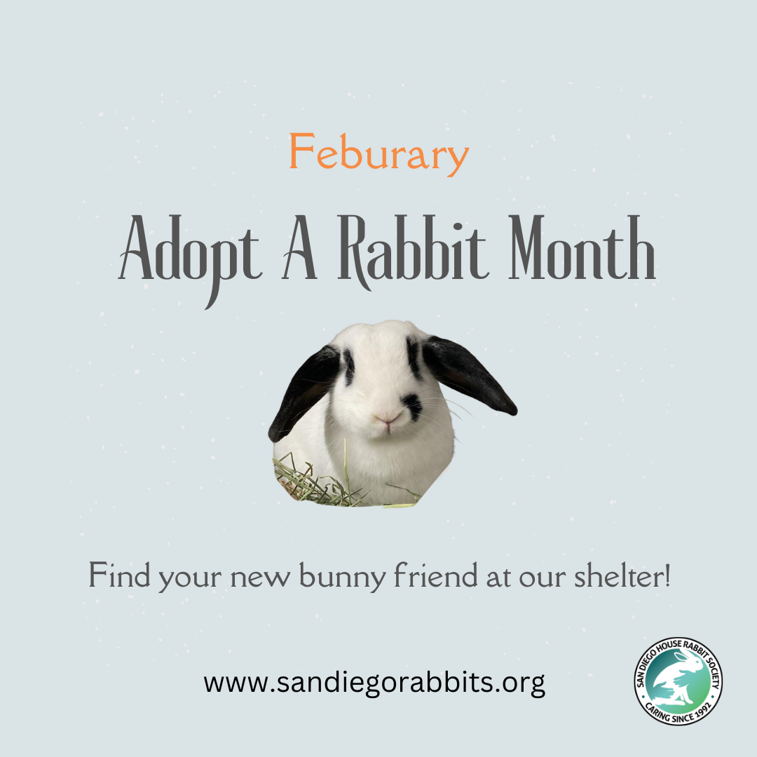 San Diego House Rabbit Society