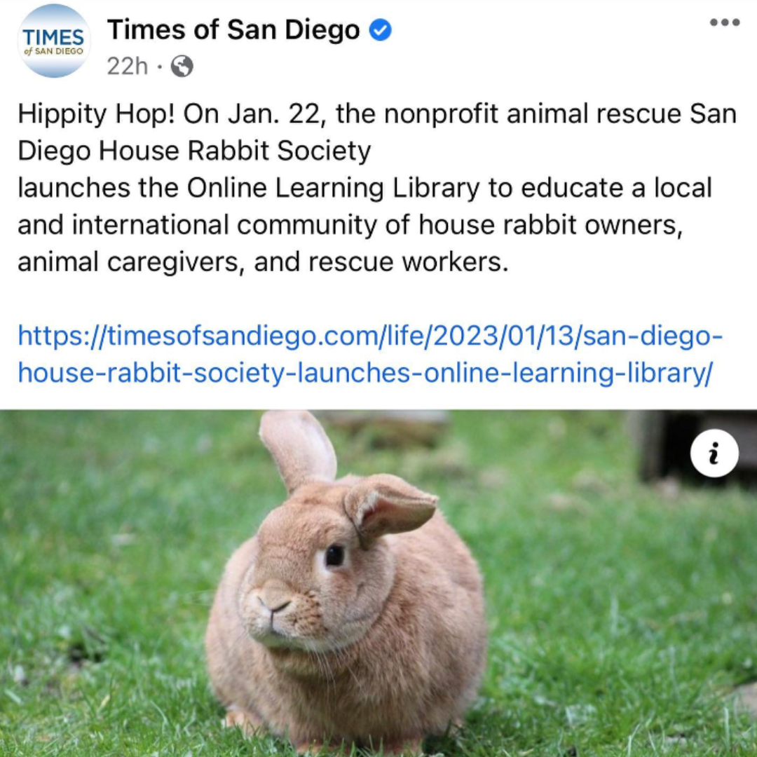 San Diego House Rabbit Society