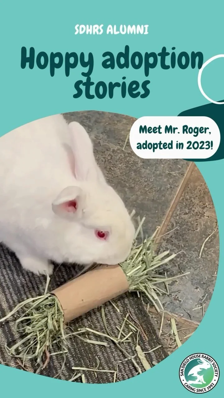 Rabbit Hemorrhagic Disease (RHDV) — San Diego House Rabbit Society
