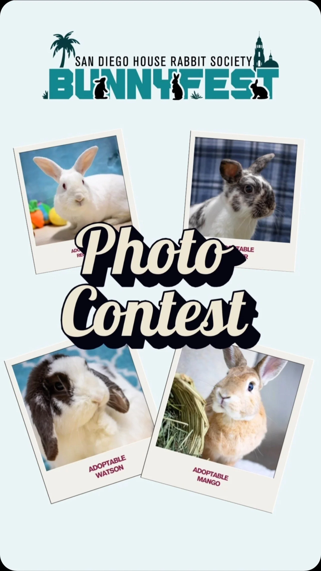 Rabbits Ready For Adoption — San Diego House Rabbit Society