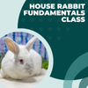 House Rabbit Fundamentals Class — San Diego House Rabbit Society