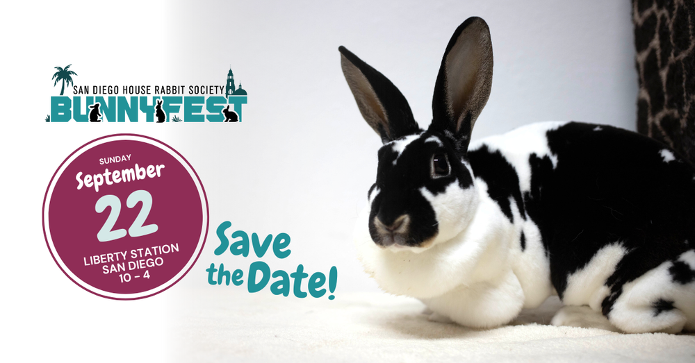 San Diego House Rabbit Society
