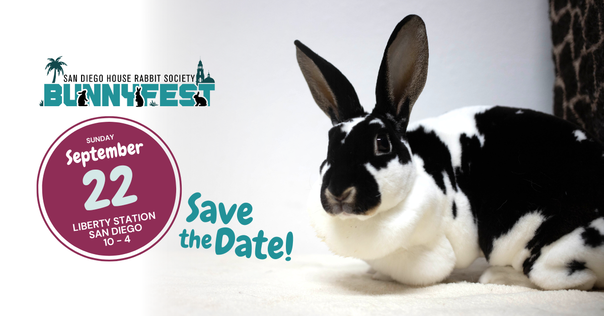 San Diego House Rabbit Society