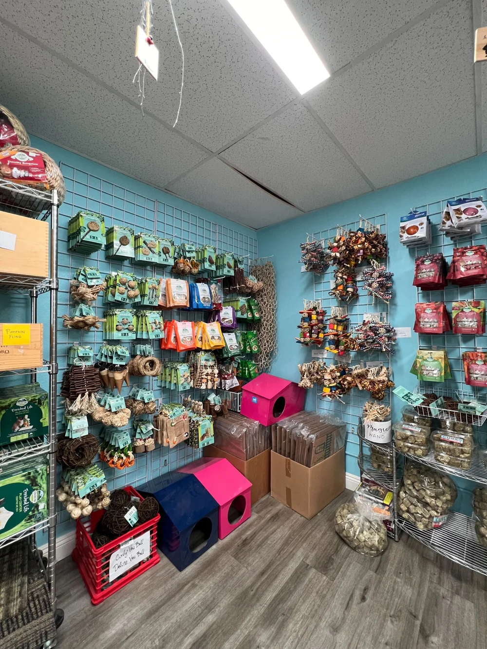 About Us - San Diego House Rabbit Society — San Diego House Rabbit Society