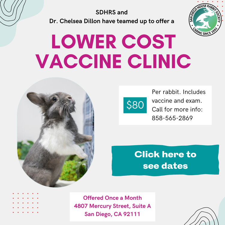 San Diego House Rabbit Society