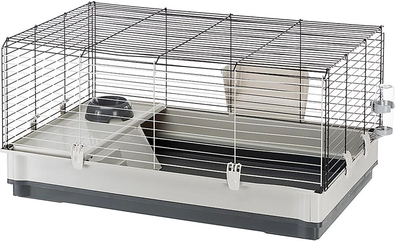 Advantages of Pen Living — San Diego House Rabbit Society