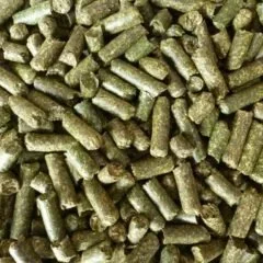 Providing a Healthy Rabbit Diet — San Diego House Rabbit Society