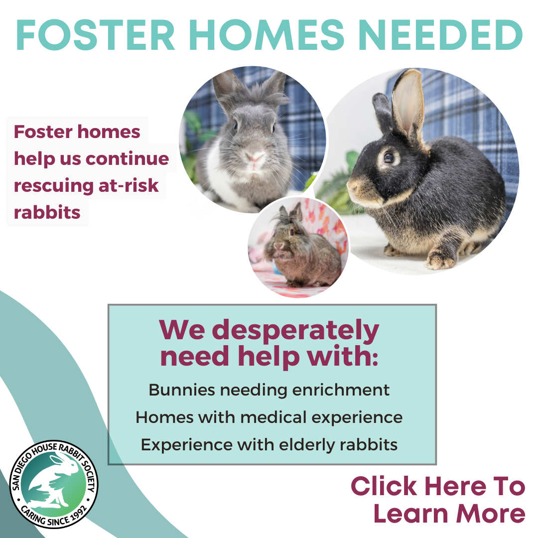 San Diego House Rabbit Society