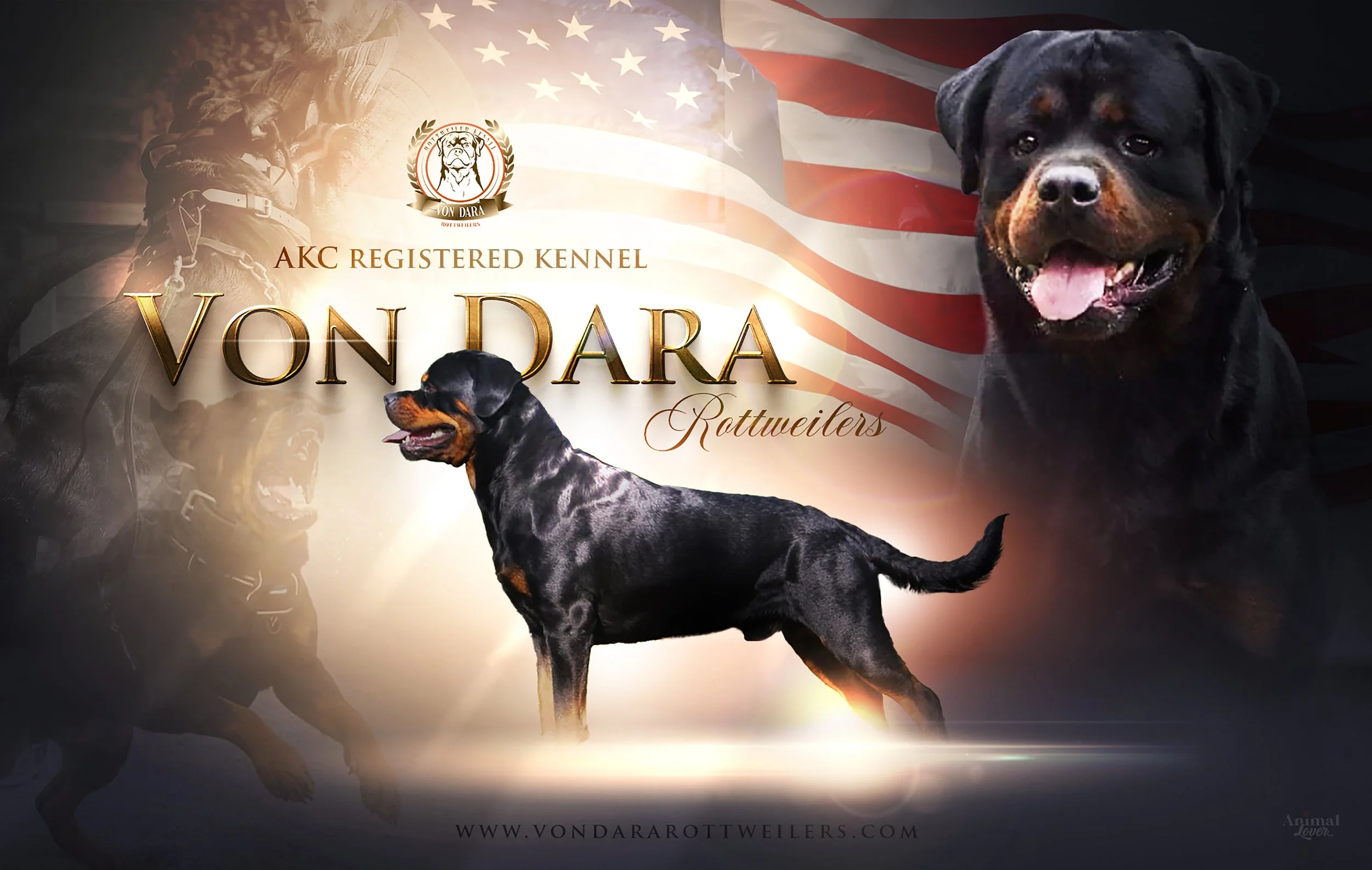 Von Dara Rottweilers