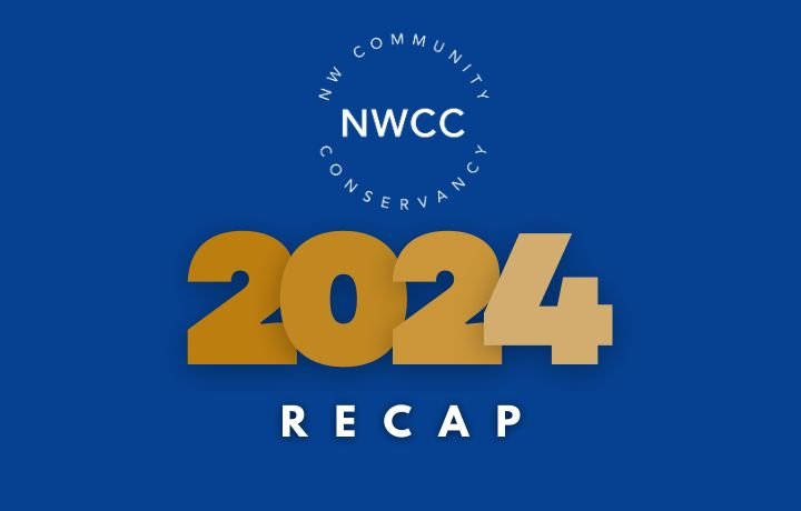 Celebrating a Year of Impact: NWCC’s 2024 Milestones — NWCCpdx