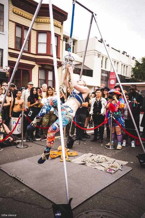 Hardpoints and Frames for Bondage — Twisted Windows