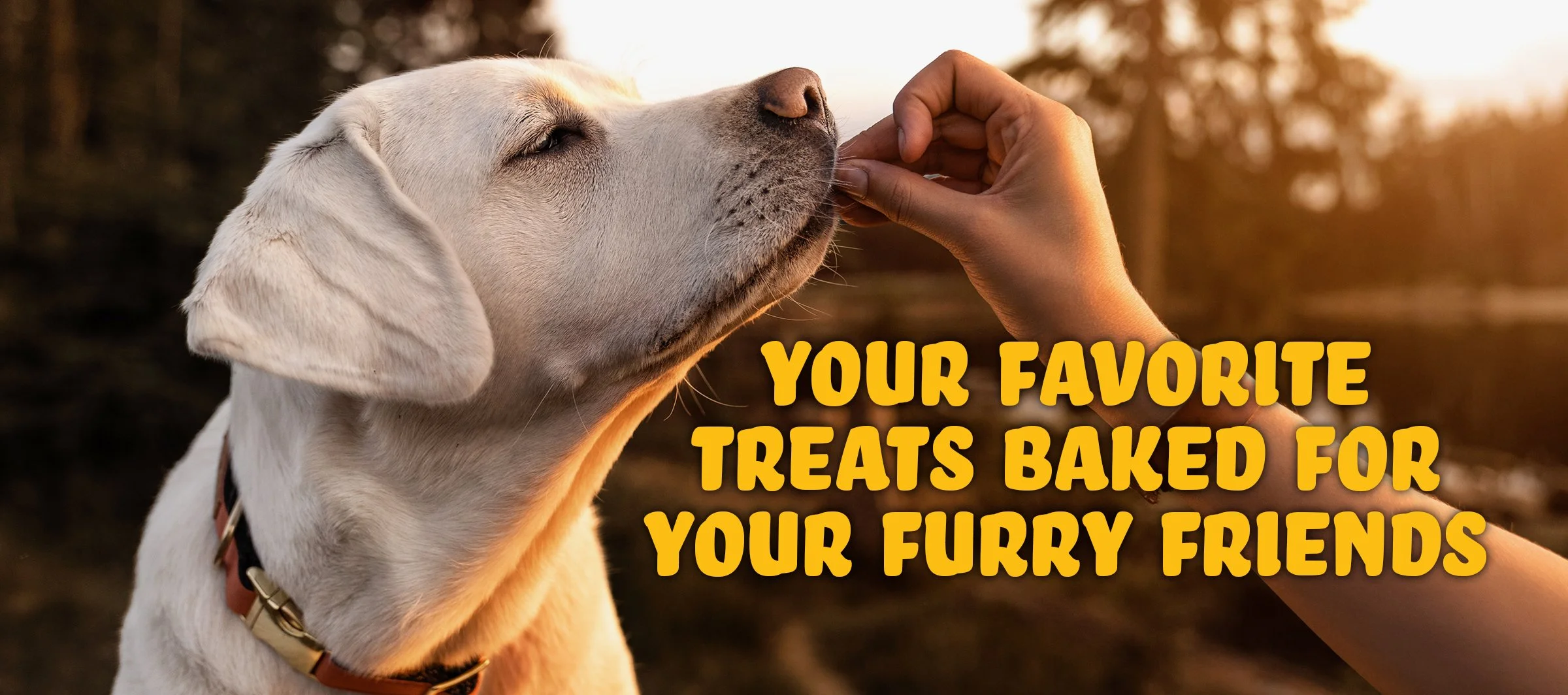 Doc's Crumbs Pet Treats