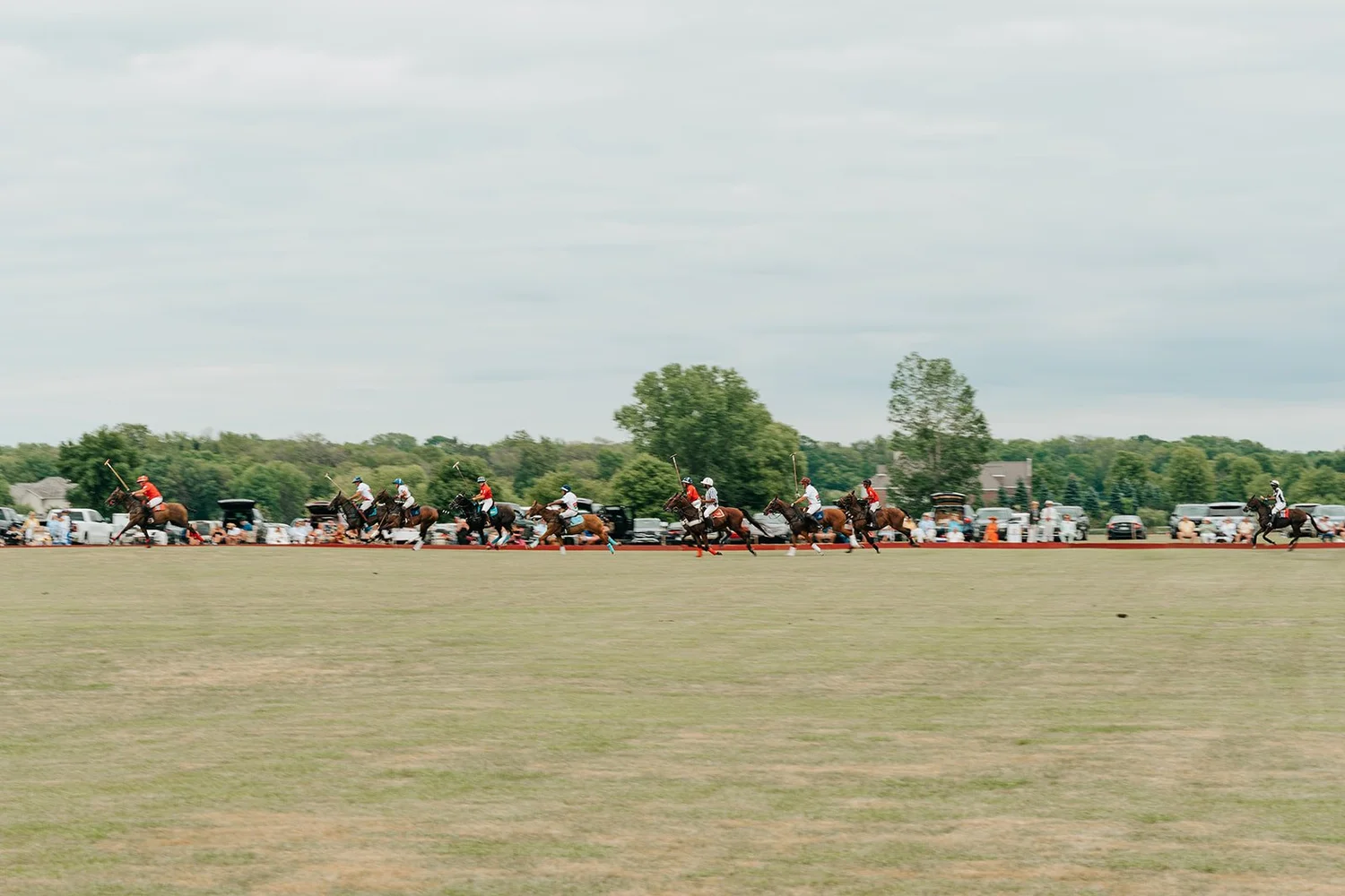 LOGO | Experience Thrilling Polo