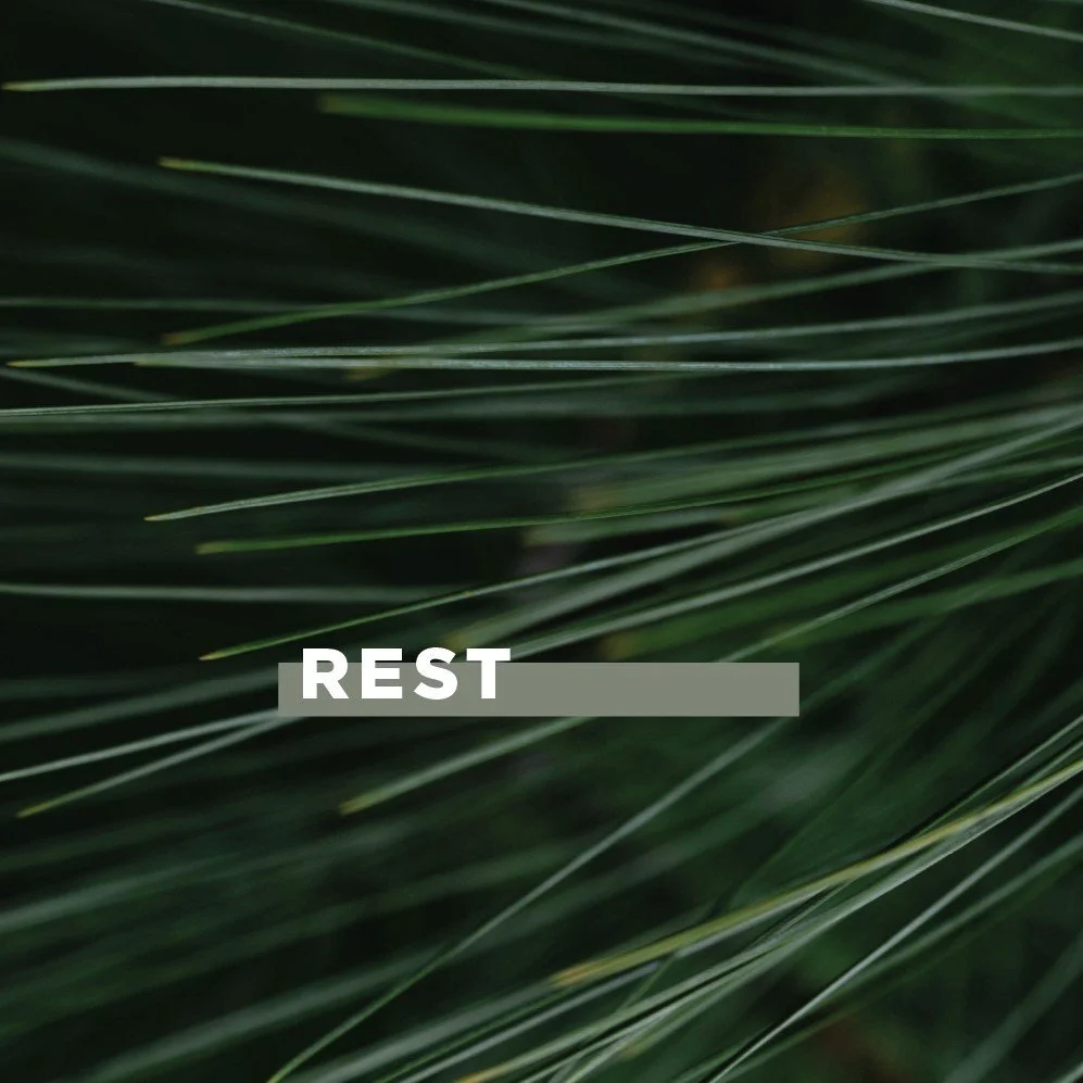 Train • KC Underground Network