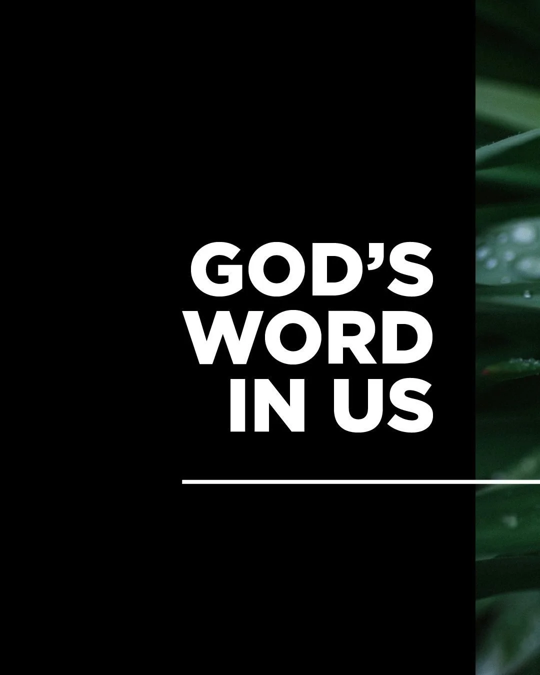 Train • KC Underground Network