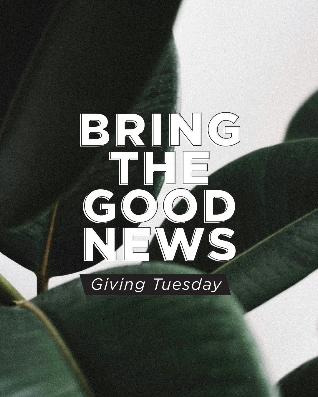 Resources • KC Underground Network