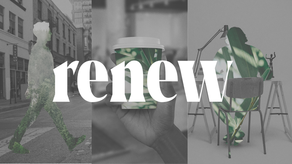 Renew — Dream Collective