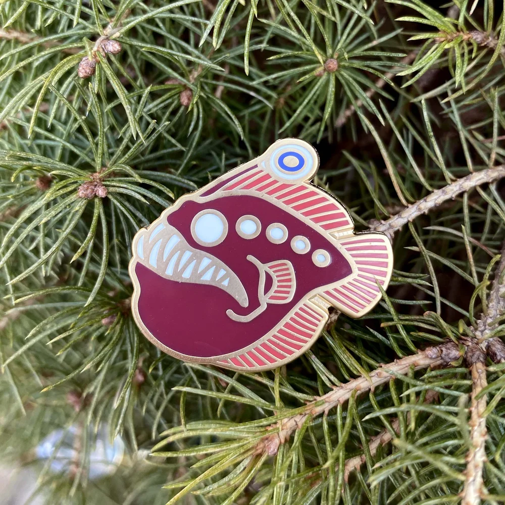 Lasiognathus saccostoma Pin — Hannah Comstock